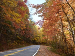 The Best Scenic Drives in North Georgia