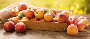 Top 5 North Georgia Peach Orchards | Georgia Cabins For You