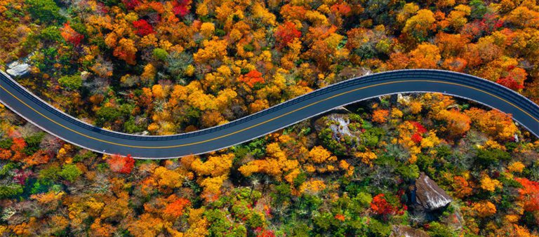 Your Guide to Enjoying Fall Colors in North Georgia