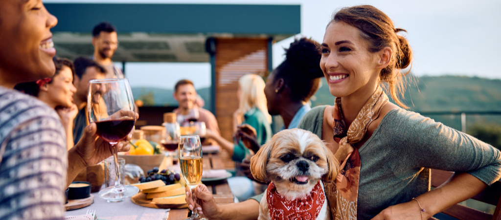 Top 12 Waterfalls In and Near Blue Ridge GA + Map, Hiking Details & Photos