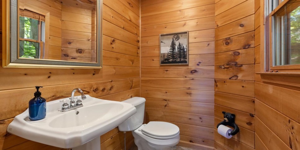 Morganton Cabin - Bear Necessities